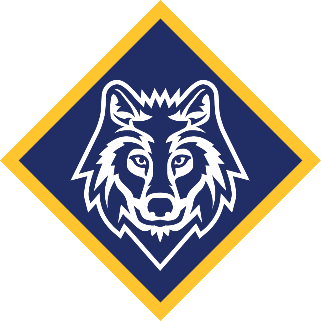 Lone Scouts