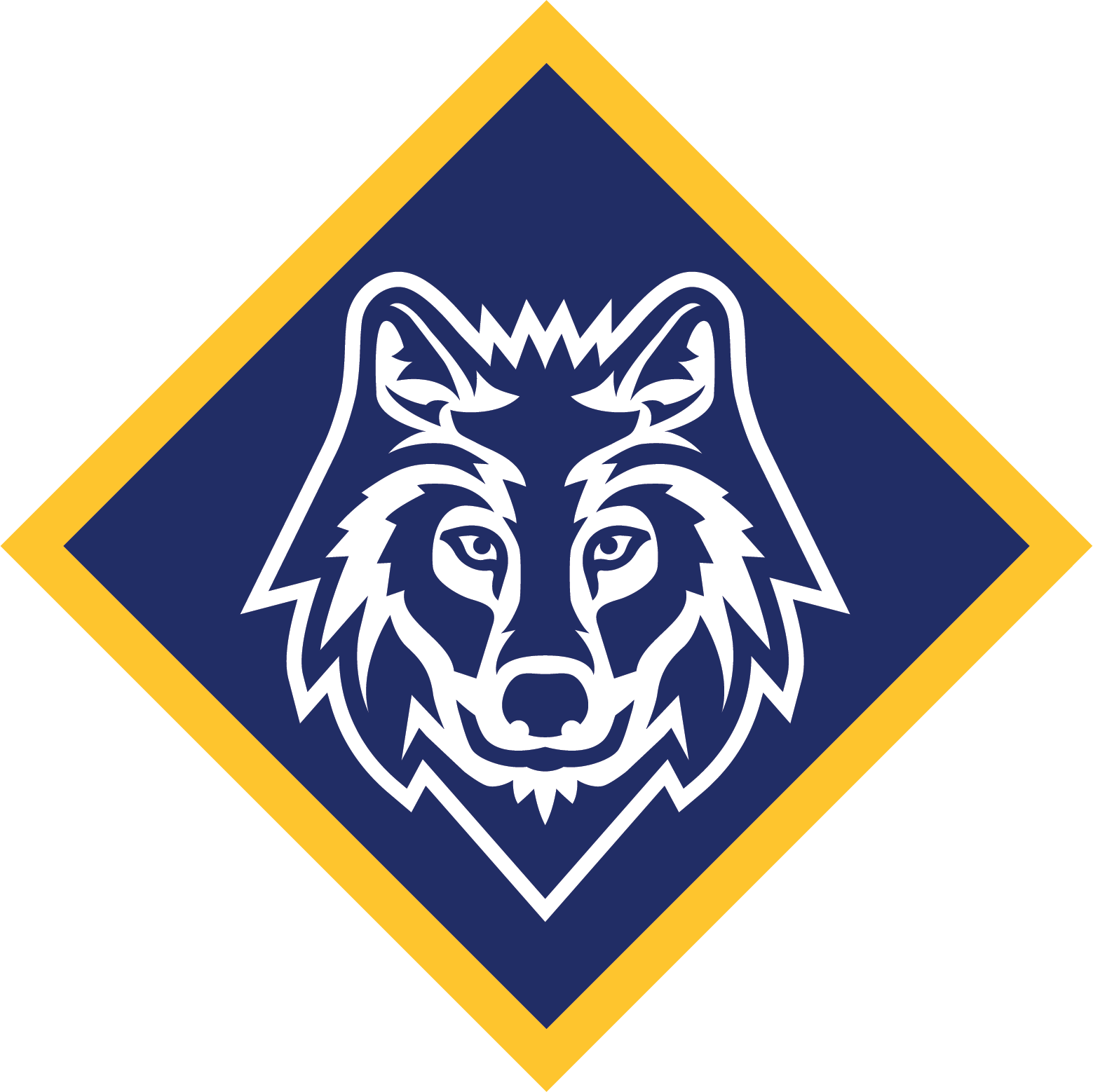 Grey Wolf Award - Lone Scouts