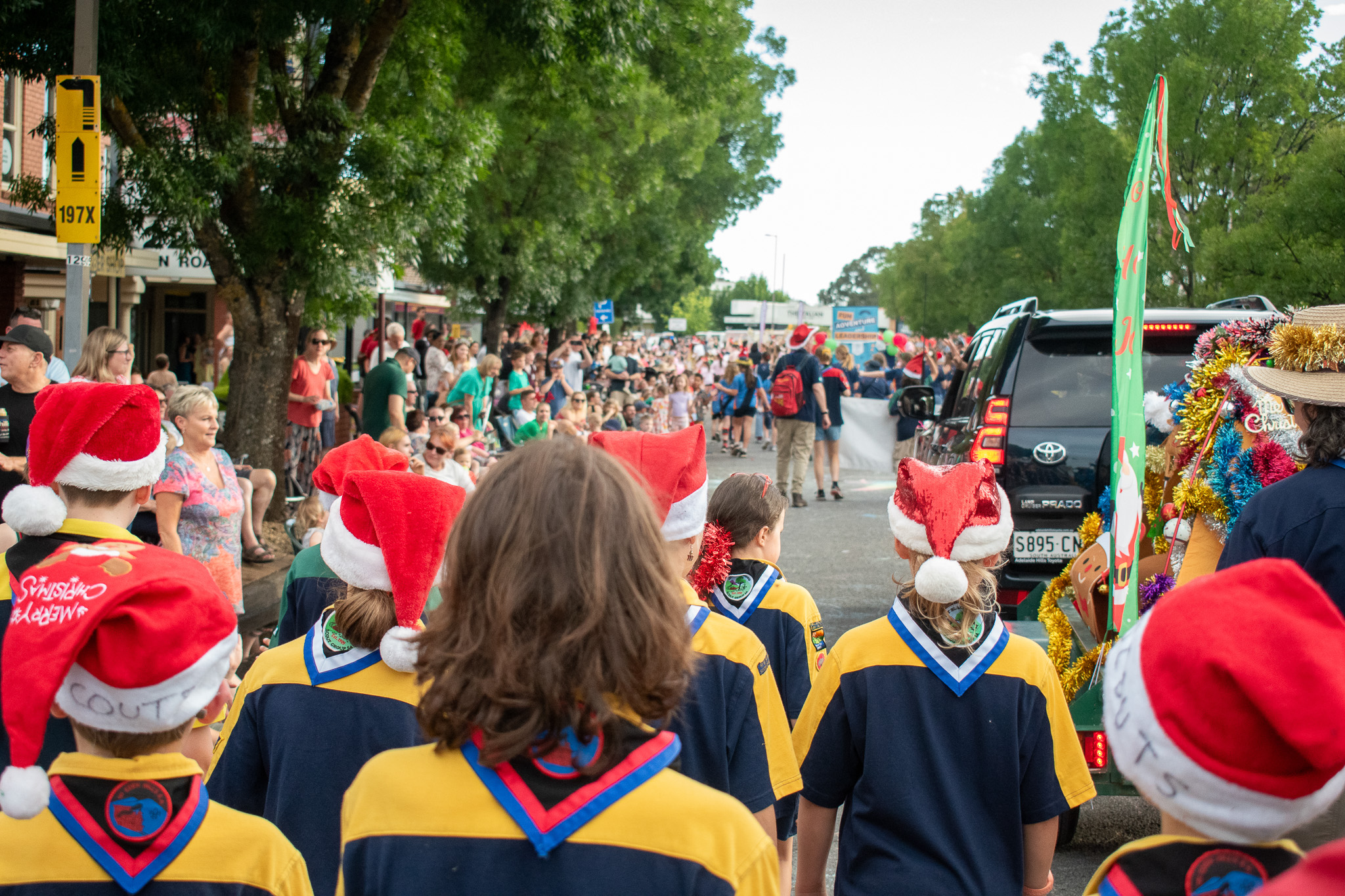 Scouts SA